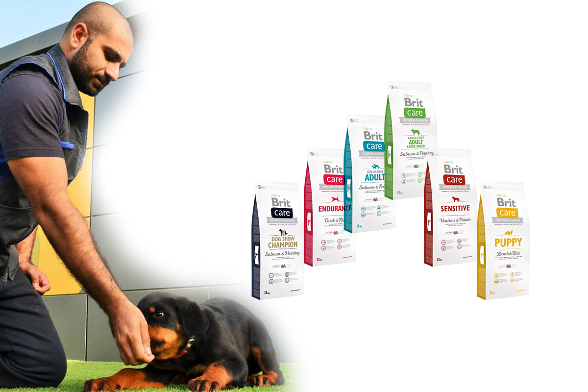Saud Karam – Dog Training in Kuwait